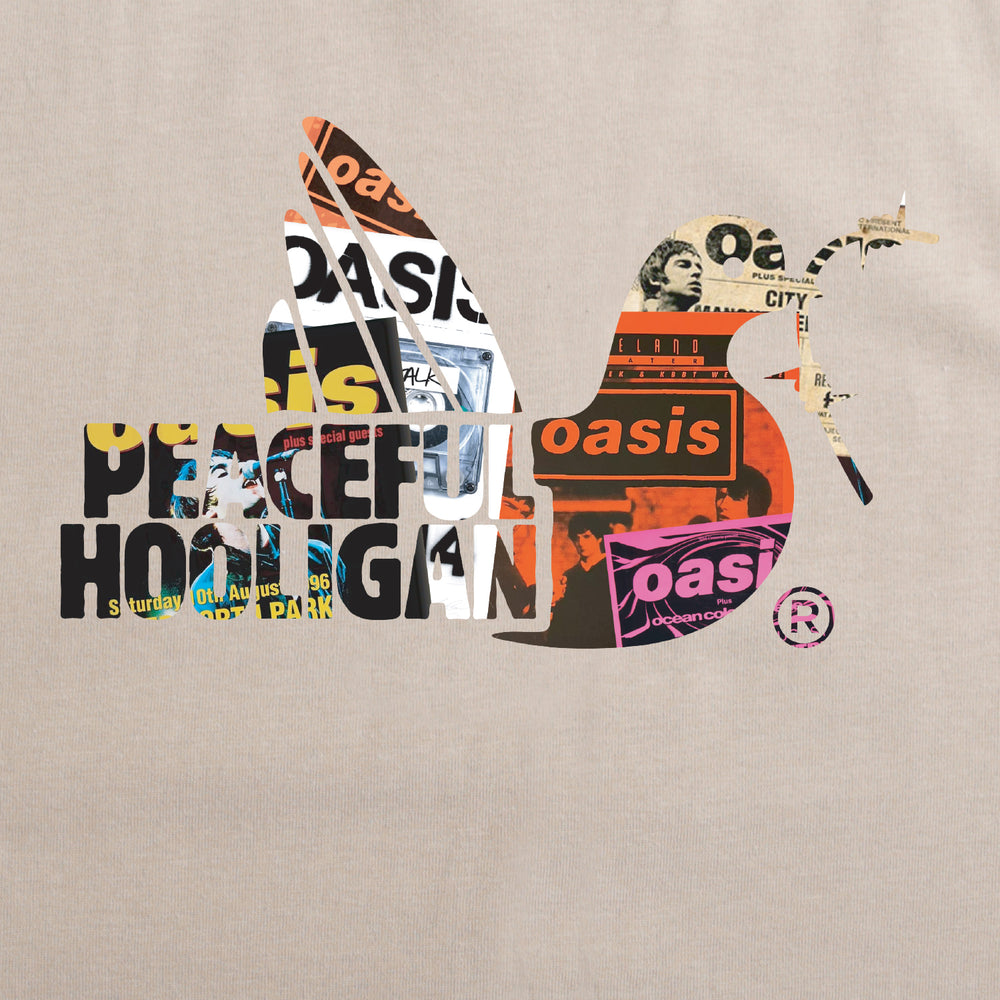 Peaceful Hooligan // Civilian Uniform For Frontline Manoeuvres